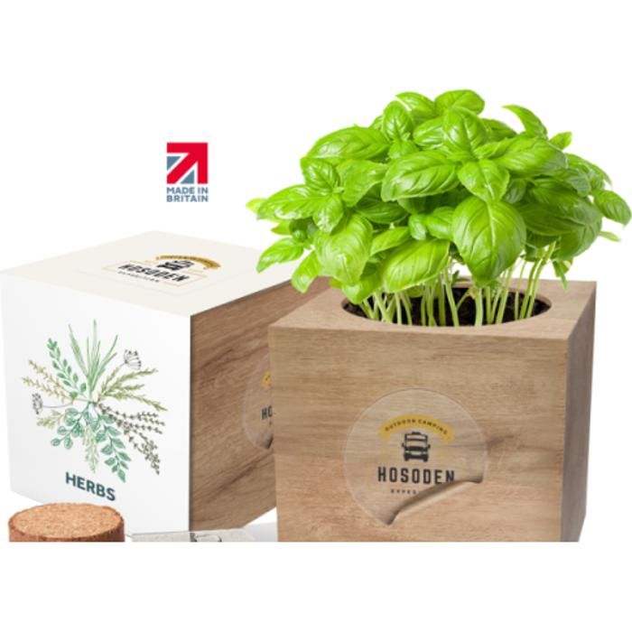 Promotional Essential Desktop Cube Gardens from Fluid Branding | Seeds