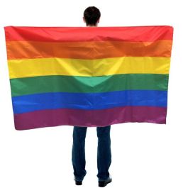 Promotional Rainbow Flag from Fluid Branding | Flags